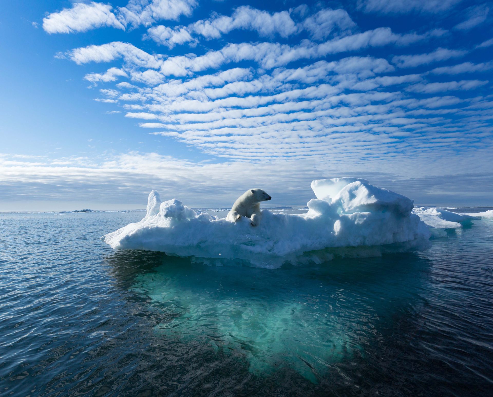 Home | ASP Cleantech