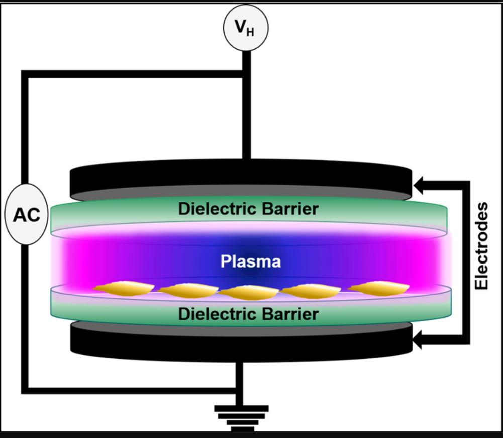 Cold Plasma Applications in Agriculture Technote (Part 1)